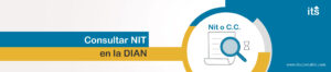 Consultar NIT en la DIAN - ITS Contable